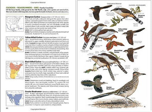 National Geographic: Field Guide to the Birds of North America, 7th Ed ...